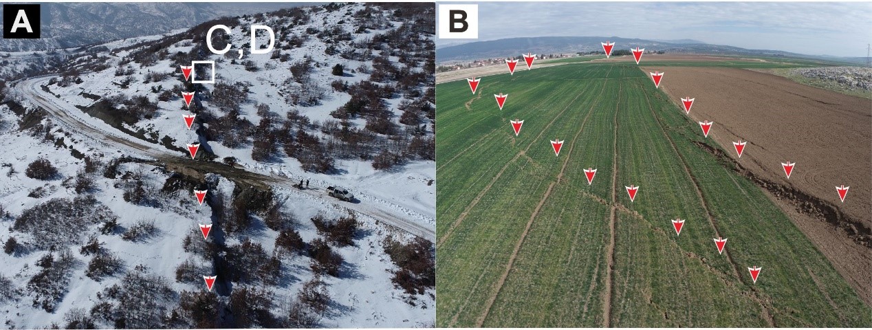 Timothy Kusky教授团队，Science，2024，震后地表受破坏最大位置不一定是震中-地质过程与矿产资源国家重点实验室